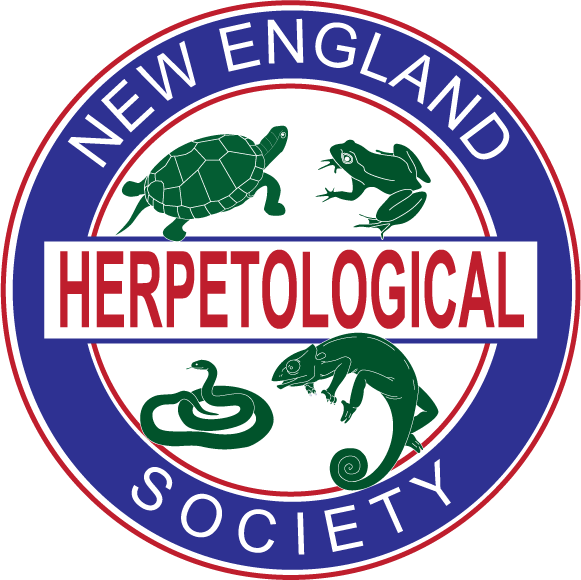 nehs-logo – theTurtleRoom